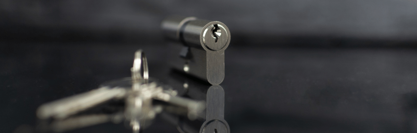 Profile cylinders - Locks - lockpick.shop